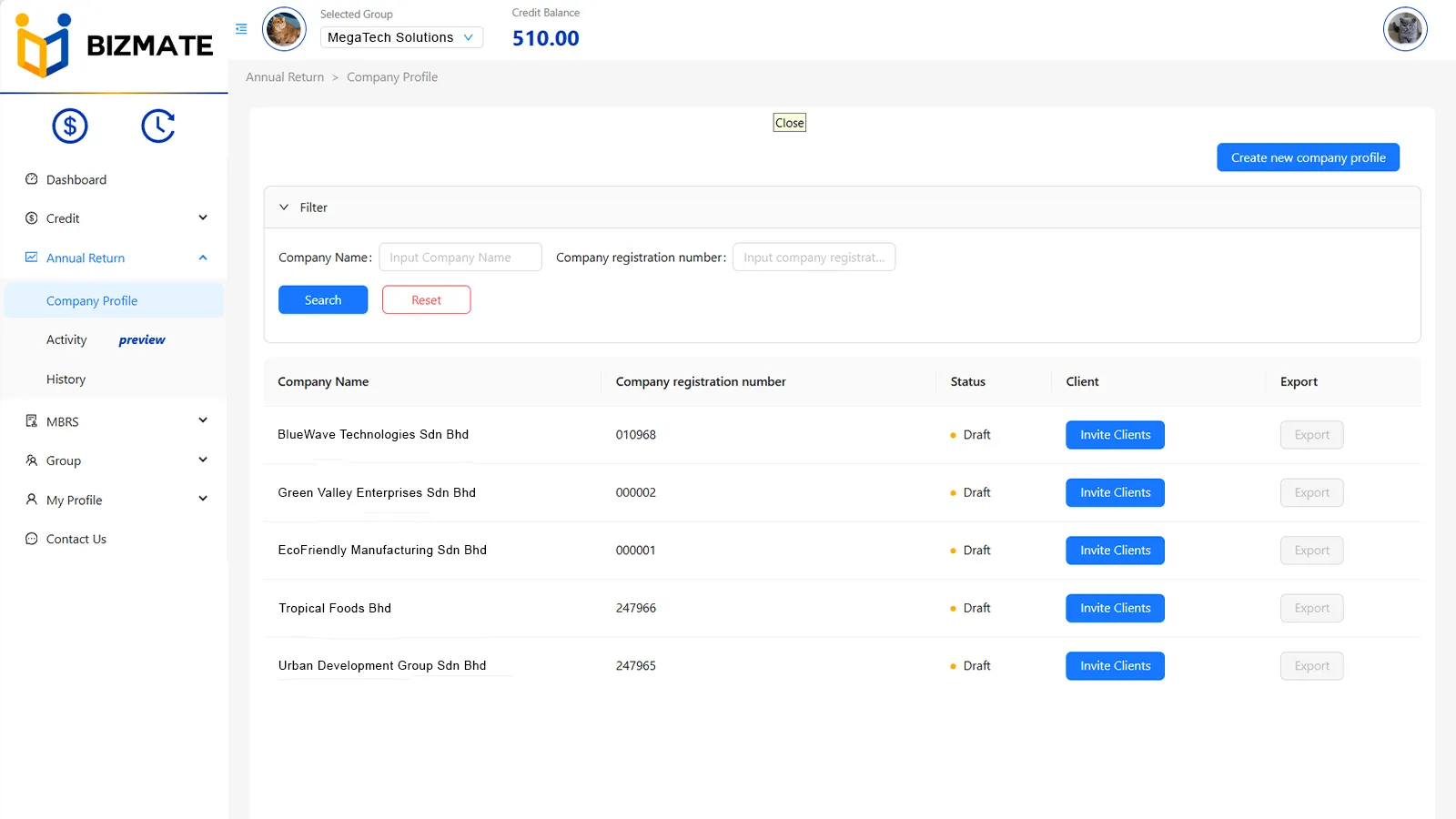 AR Company Profile Table